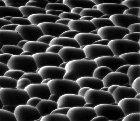 Optics and Photonics Seminar Series: Fall 2011